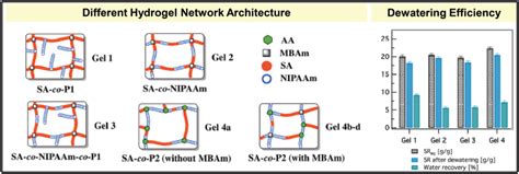 Comparison Of The Thermal‐dewatering Efficiencies Of Pnipam‐psa‐based
