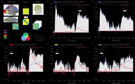 Model Based Meg Fmri Fusion Procedure And Results A Model Based