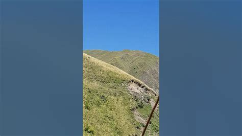 ჯიხვი ტბათანაში Youtube