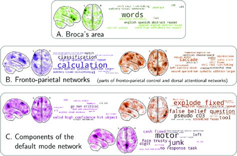 Task Optimized Networks Associated With High Level Functions Some