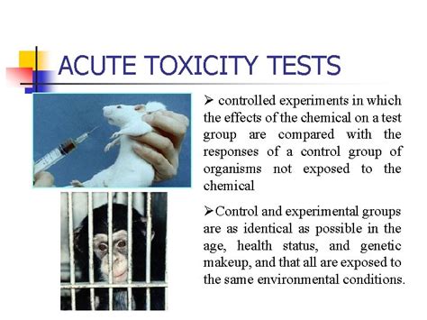 Risk Toxicology And Human Health Vocabulary Risk A