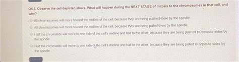 solved q6 6 observe the cell depicted above what will