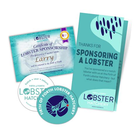 What Is A V Notch Lobster At Heather Meyers Blog