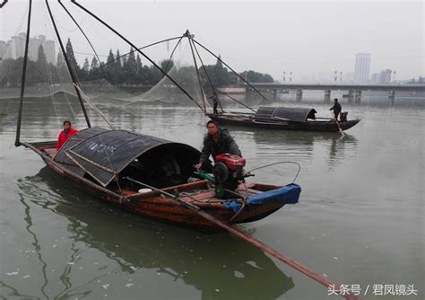 湖北宜昌漁民清晨在長江支流黃柏河捕魚收網 10多條鰱魚遭搶購 每日頭條