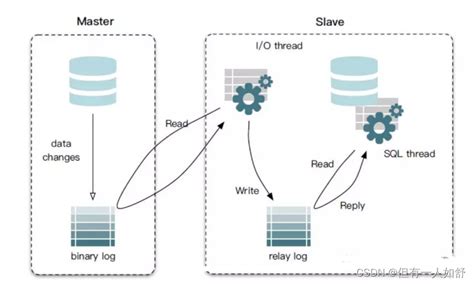 mysql最常问的10道面试题（2023详解版） mysql 面试 csdn博客