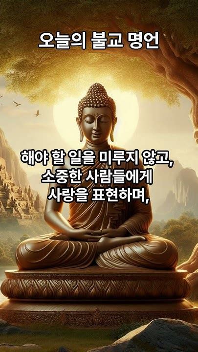 오늘의 불교 명언 명언 긍정의말 좋은글 긍정적마인드 인생조언 긍정의한줄 부처님 지혜 마음의소리로쓰는글 Youtube