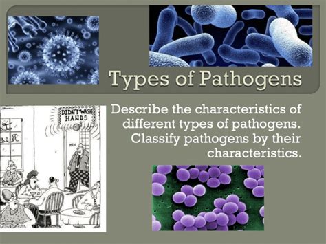 Types Of Pathogens