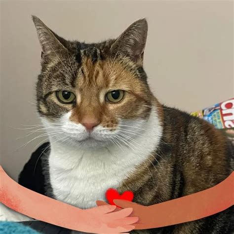 Heidi Jhm Flossiecat On Threads