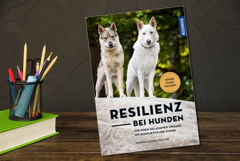 Resilienz Bei Hunden Mein Herz Bellt