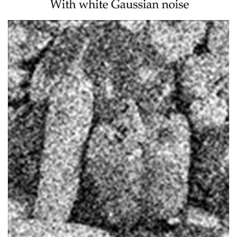 Results Of Denoising By Fractional Integral And Gaussian Smoothing