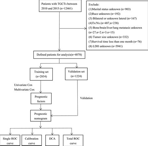 Development And Validation Of A Nomogram To Predict Lung Metastasis In