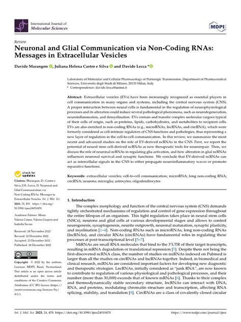 Neuronal And Glial Communication Via Non Coding Rnas Messages In Extracellular Vesicles Pdf