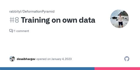 Training On Own Data · Issue 8 · Rabbityl Deformationpyramid · Github