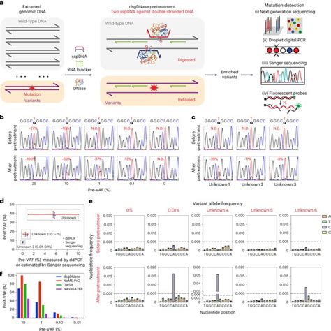 Sgdnase With Single Nucleotide Resolution A Relative Cleavage Rates Of