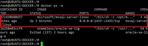 在 Docker 環境執行 SQL Server on Linux