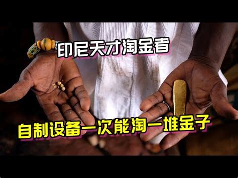 印尼天才淘金者自制淘金设备比专业机器牛一次能淘一堆金子 YouTube