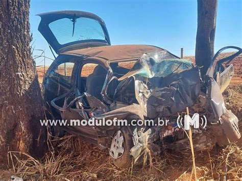 Jovem de 23 anos sofre traumatismo craniano após colisão árvore