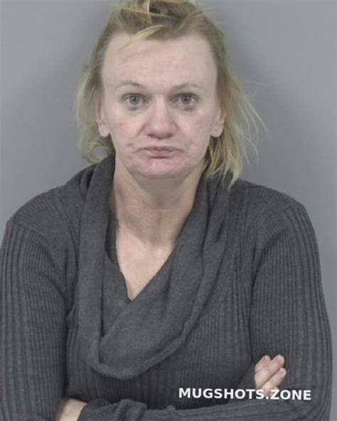 Elizabeth Ann Bailey 03 04 2024 Johnston County Mugshots Zone