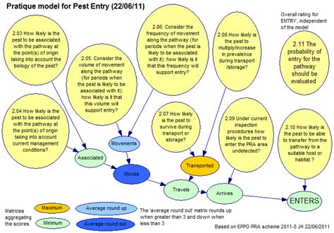 Flowchart Ontology Showing How The Questions In The Entry Section Are