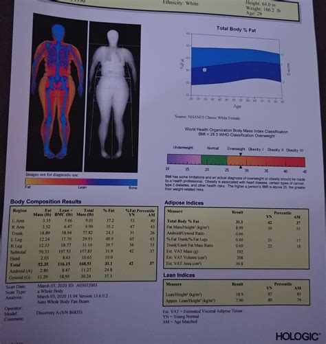 Dexa Results 29 54 166lbs 31 Bf Xxfitness