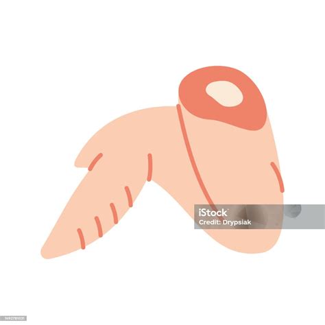 닭 날개 아이콘입니다 신선한 닭고기 실루엣 벡터 그림입니다 가금류에 대한 스톡 벡터 아트 및 기타 이미지 가금류 건강한