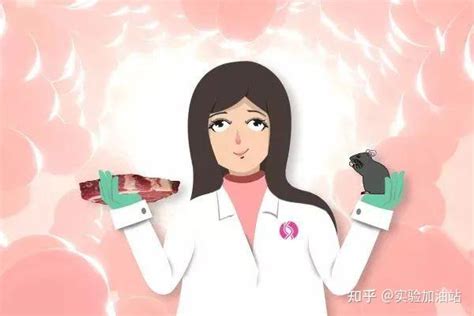 「动物造模」那些事 知乎