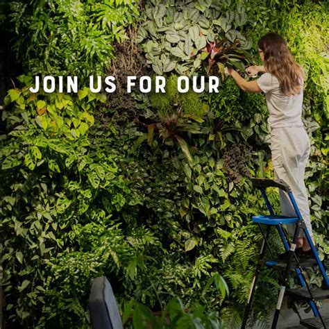 Urbanstrong Is Participating In The Annual Open House In Conjunction With Alan Burchell