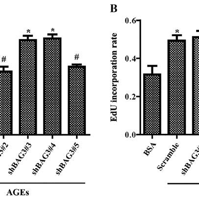 Advanced Glycation End Products AGEs Promote The Proliferation Of