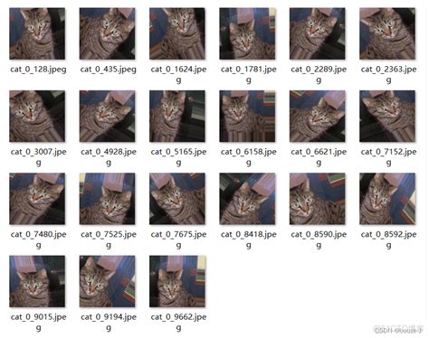 Kaggle猫狗数据集knn算法 猫狗分类数据集下载 Mob6454cc70cb6b的技术博客 51cto博客