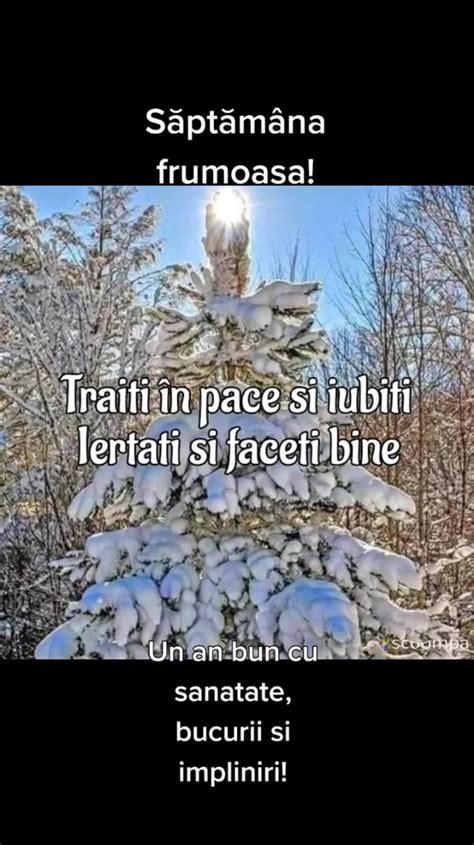 Să Aveti O Saptămâna Frumoasa Un An Plin De Binecuvântari Autor