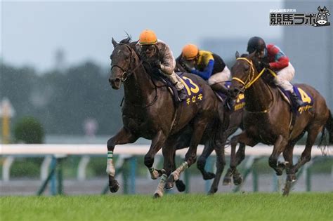 【菊花賞】上がり馬キセキが春の無念を晴らしてg1初制覇！ 競馬ニュース 競馬ラボ