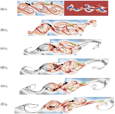 Particle Motion Results Using The Ftle Number At Integral Initial