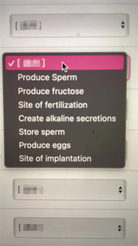 Solved Match The Structure To Its Function Testes Chegg Com