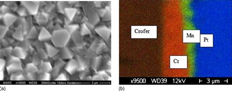 Color Online Surface Image A And B Cross Section Elemental Map Of Download Scientific Diagram
