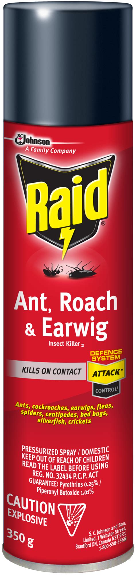 Raid Ant Roach And Earwig Insect Killer Spray 350g Cc Group Trading