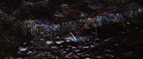 Characters Collapse Into A Singularity Once A Sexlab Animation Begins Skyrim Technical