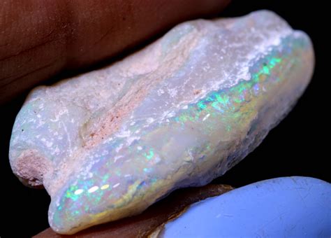 34 80cts Clam Shell Opalised Fossil Fo 1993 Fossilopals