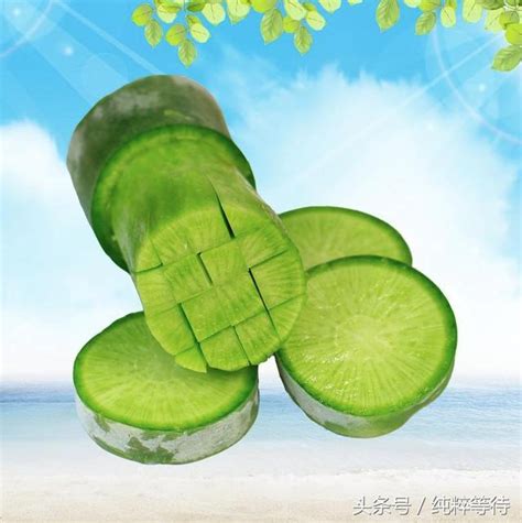 冬吃蘿蔔夏吃薑 你是否知道為什麼，蘿蔔與人參不能同時吃！ 每日頭條
