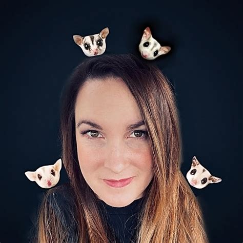 Sugar Glider Diaries Youtube