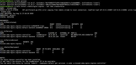 as per the instruction install but not solved ingress · issue 4