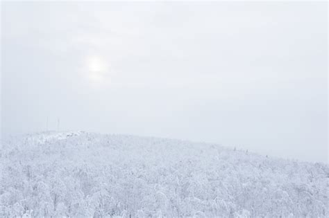 서리가 내린 안개 속에서 눈 덮인 숲이 우거진 언덕을 바라보는 겨울 풍경 멀리서 셀 타워가 보입니다 0명에 대한 스톡 사진 및
