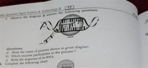 3 Observe The Diagram Answer The Following Questions A Write The Na