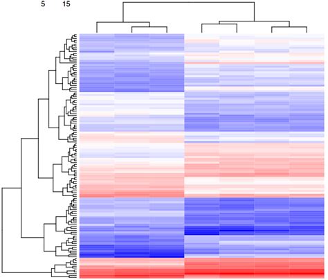 Bioinformatic Analysis Of Rna Seq Data Plinius Cursus
