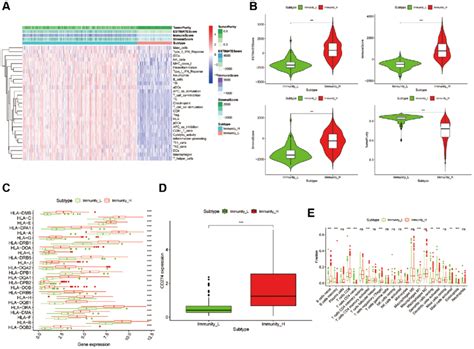 Construction And Verification Of Bladder Cancer Clustering By Immune Download Scientific