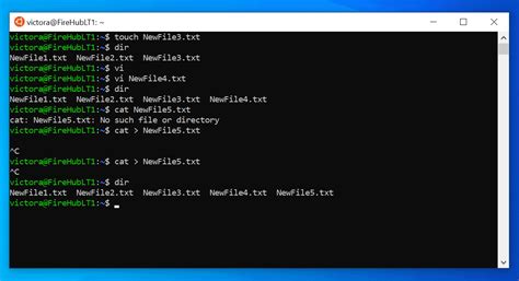 Copy Command Text From Linux To Windows Mensmusic