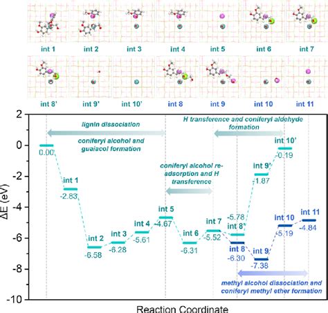 Dft Calculated Potential Energy Surface For Gg Depolymerization And