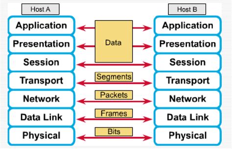 spricoder notes 2020 internet computing lecture01 计算机网络及其参考模型 md at