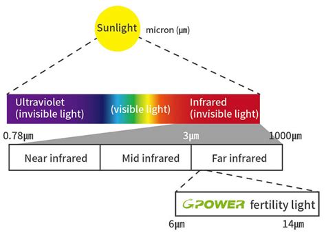 Infrared Rays