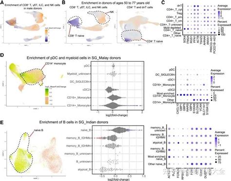 Cell 5个国家，超126万个单细胞！国际团队绘制首个亚洲人群免疫细胞多样性图谱 知乎