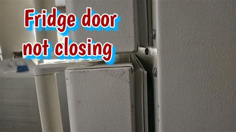 Fridge Door Not Closing Magnet At Troy Musselman Blog